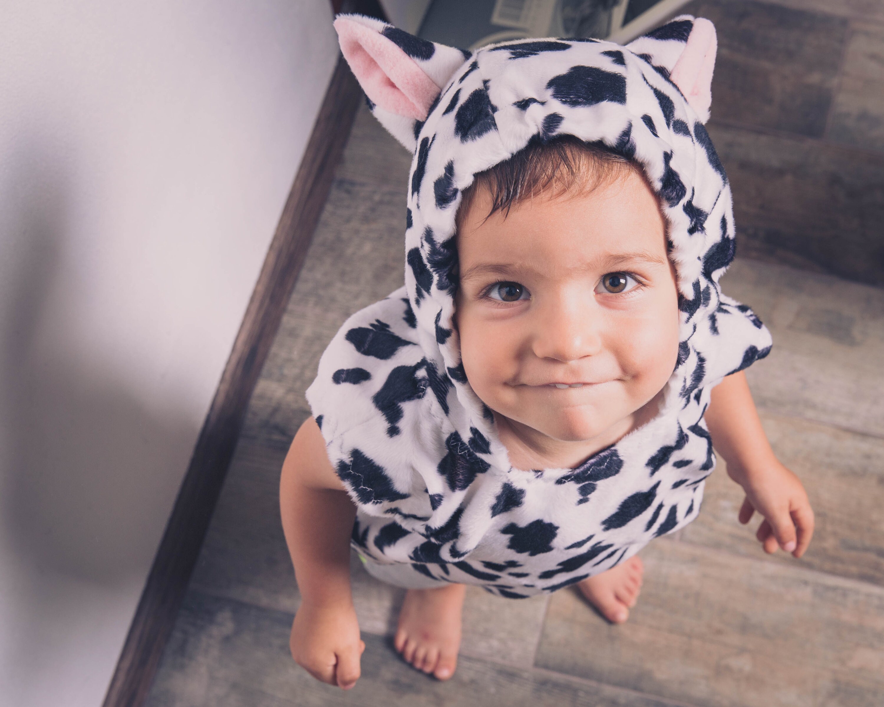 Toddler Cow Costume, Halloween Costume for Boys or Girls, Cattle Calf ...
