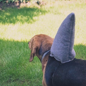 Shark Fin for Dogs, Dog Halloween Costume, Cosplay Accessory, Shark ...