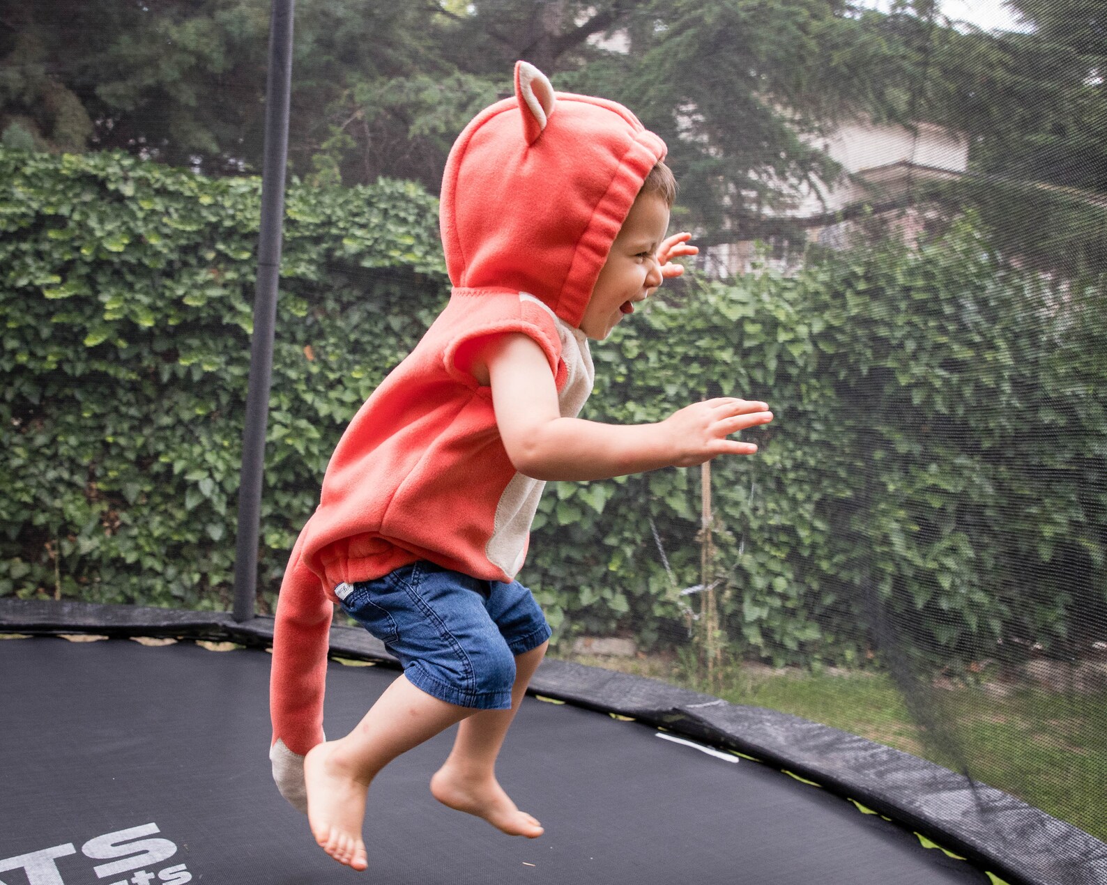 Kids Fox Costume, Fox Halloween Costume, Party Costume, Toddler Girl ...