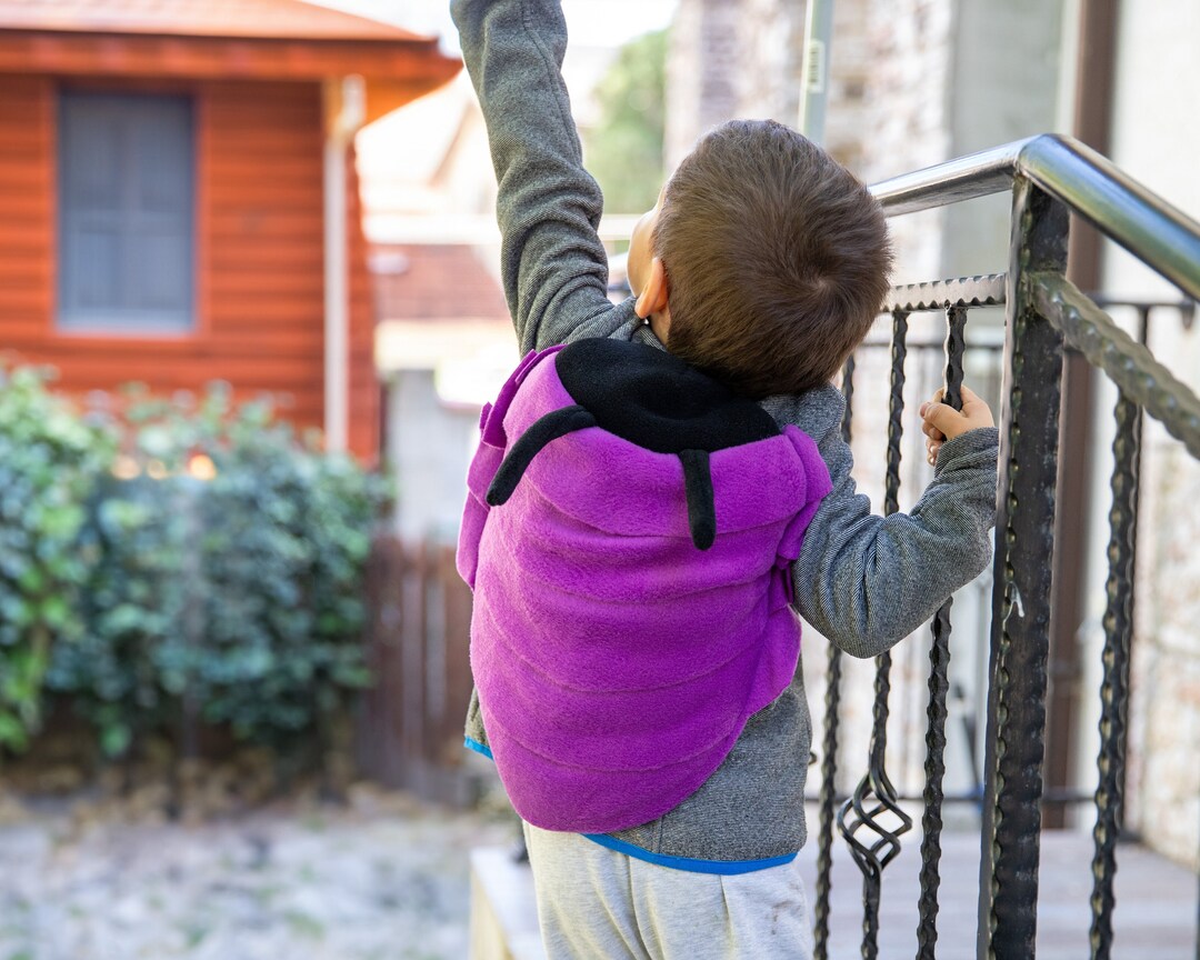 Roly Poly Bug Costume, Purple Pill Bug Halloween Accessory, Easy to Put ...