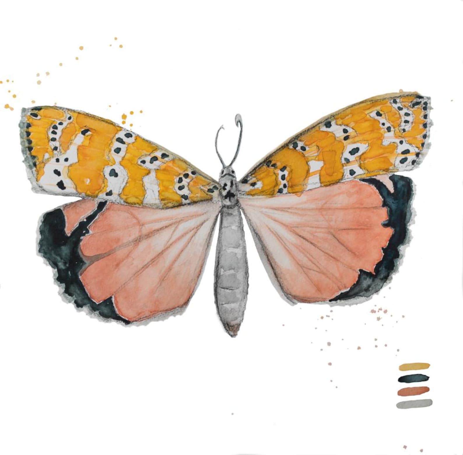 Ornate Bella Moth Watercolor Print in Shades of Pink - Coral, Orange ...