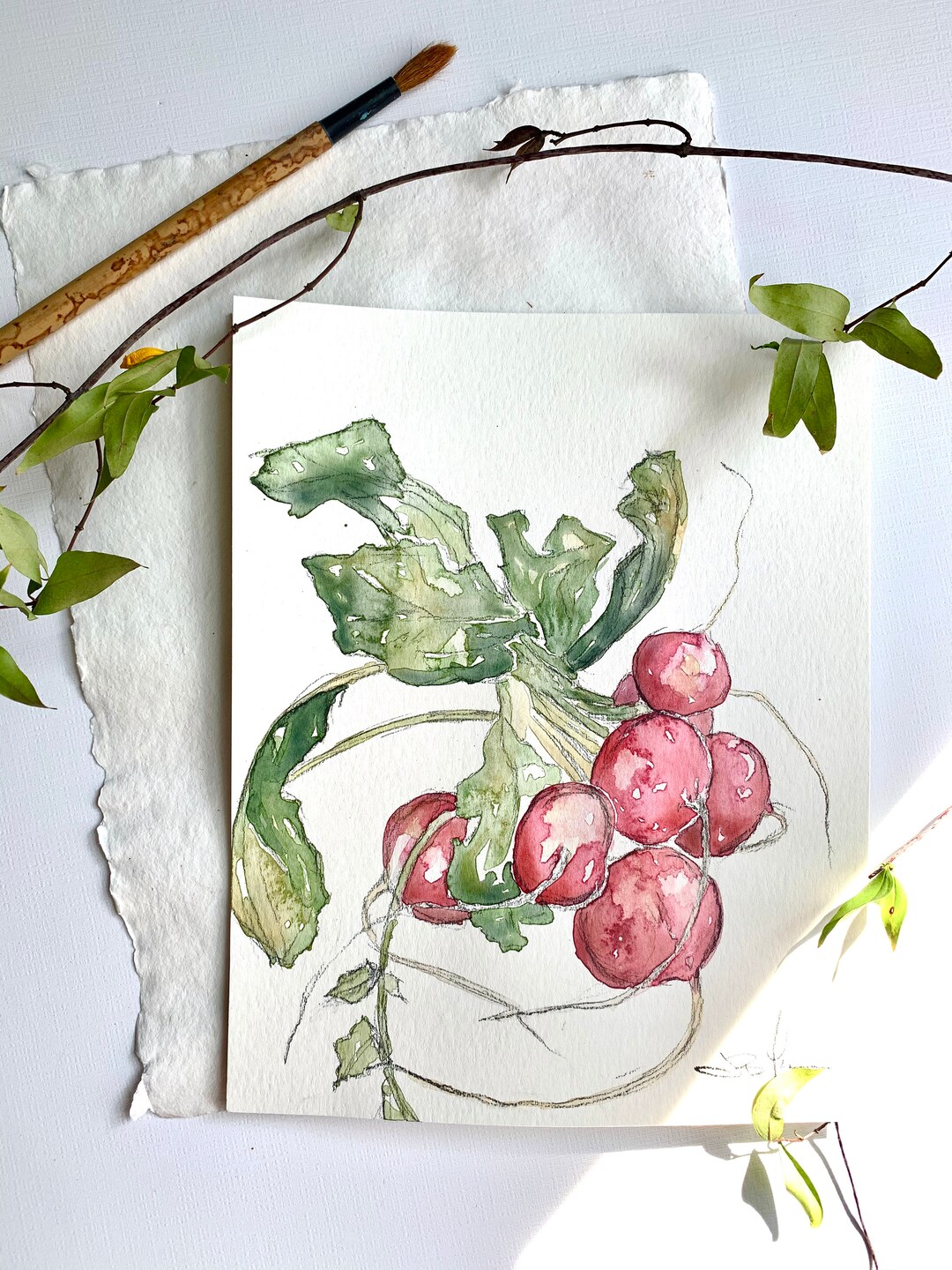 Radish Print in Watercolor - Etsy