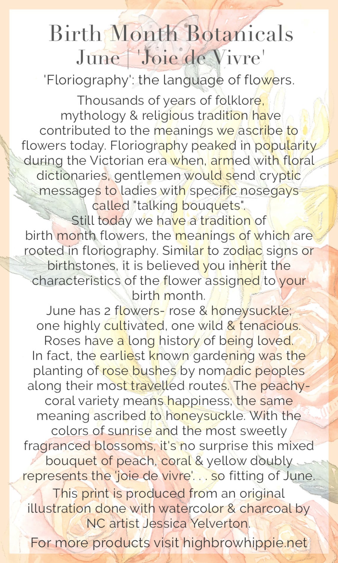 Rose, Honeysuckle, June, Birthday, Watercolor, Floral, Peach, Art ...