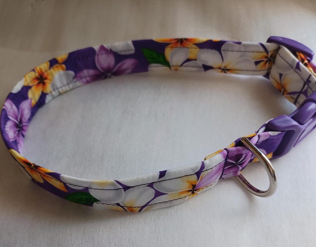 Hawaiian Custom Dog Collar - Large Dog Collars - Dog Accessories - Small Dog Collars - Plumeria ...