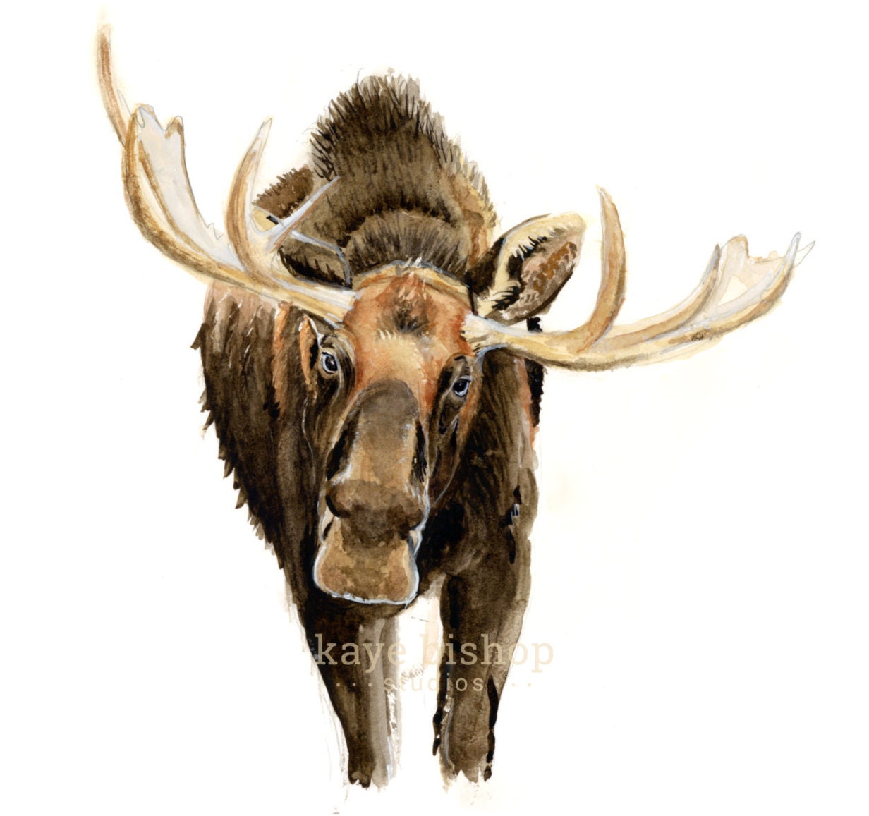 Moose Watercolor Painting Animal Art Moose Painting Moose | Etsy