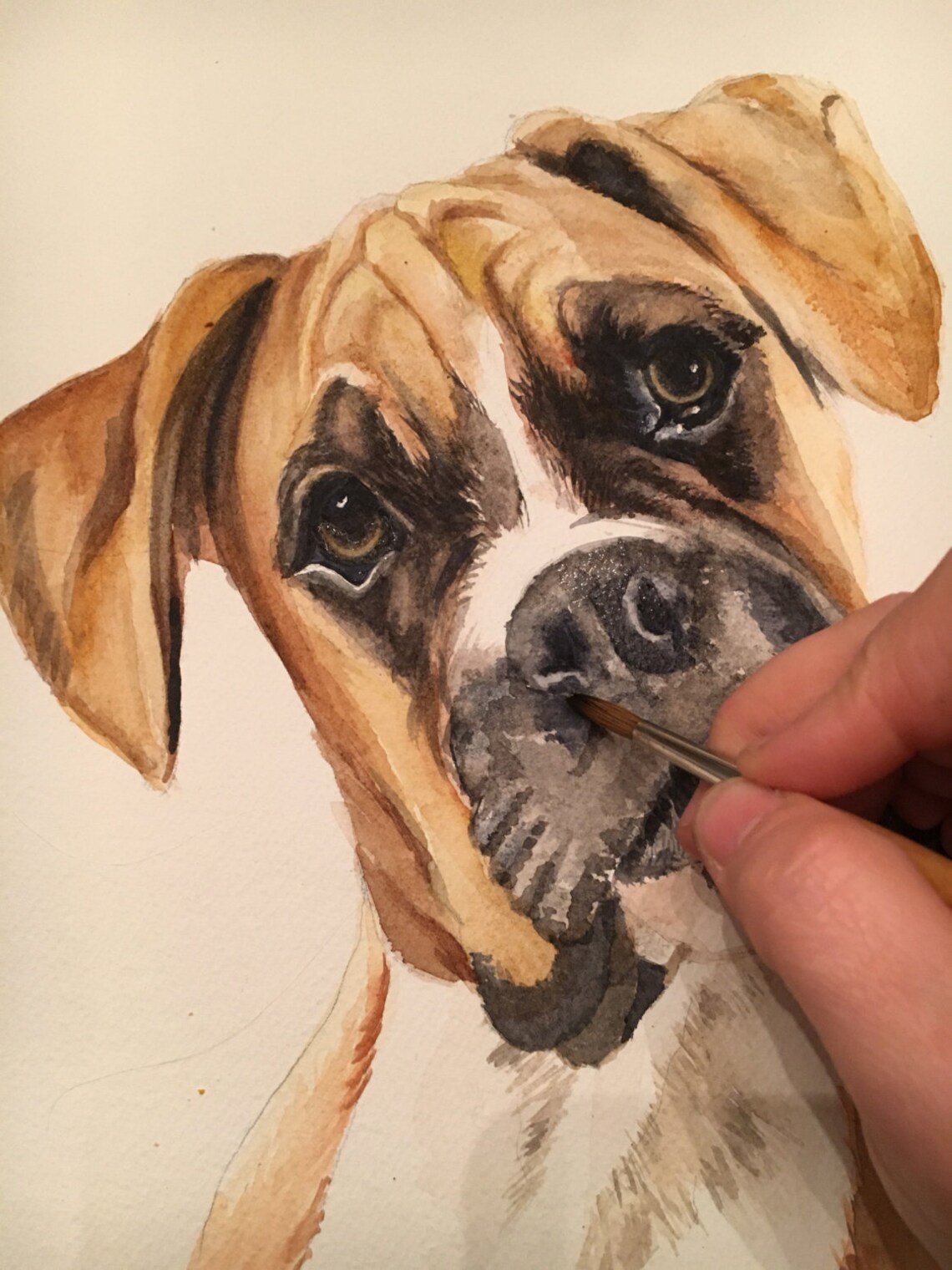 Boxer Watercolor Painting Animal Art Boxer Painting Boxer - Etsy