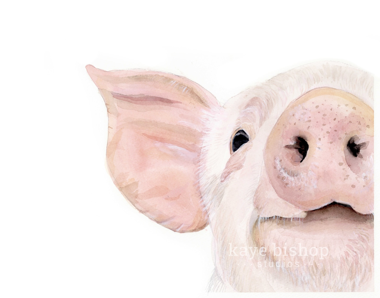 Pig Watercolor Painting Pig Face Animal Pig Art Nursery - Etsy UK