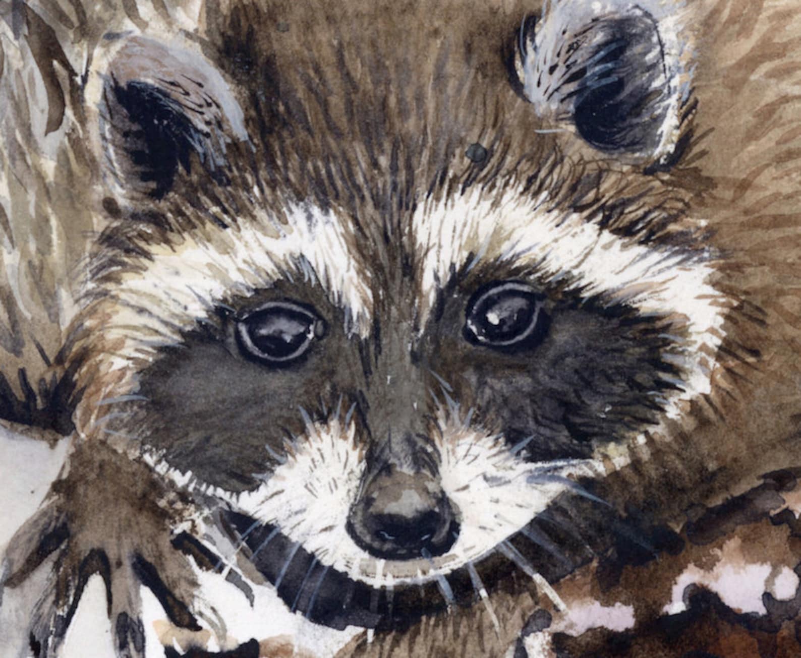 Raccoon Watercolor Painting Raccoons Art Animal Wall Art - Etsy