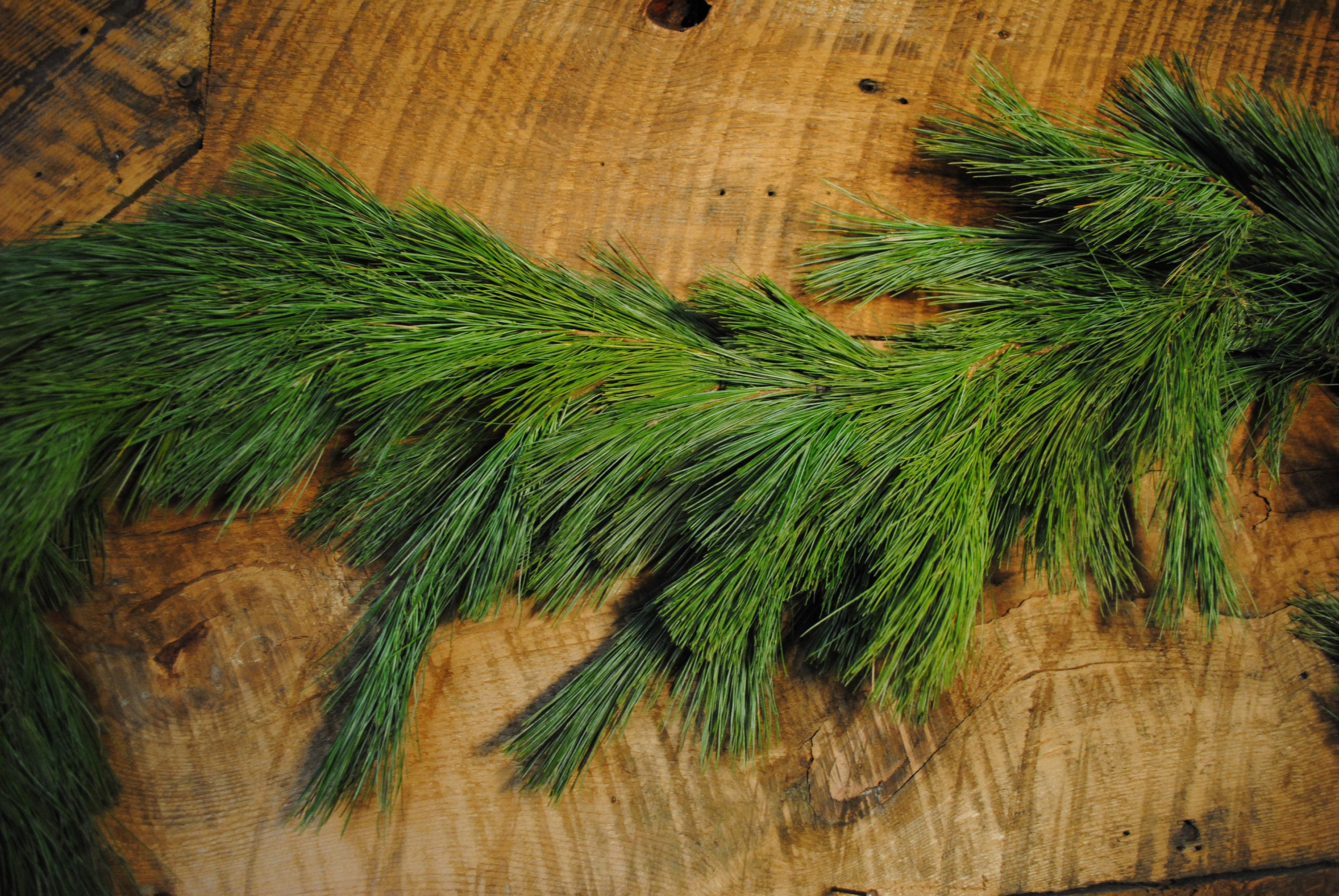 White Pine Garland - Etsy
