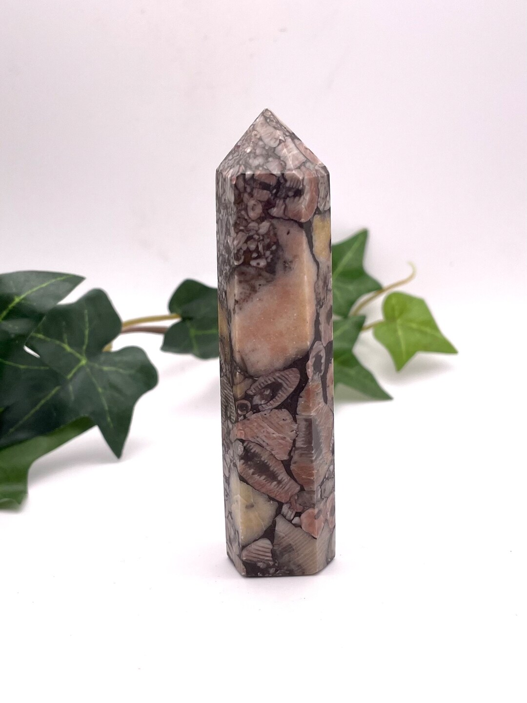 Beautiful Crinoid Fossil Jasper Crystal Point Tower - Etsy