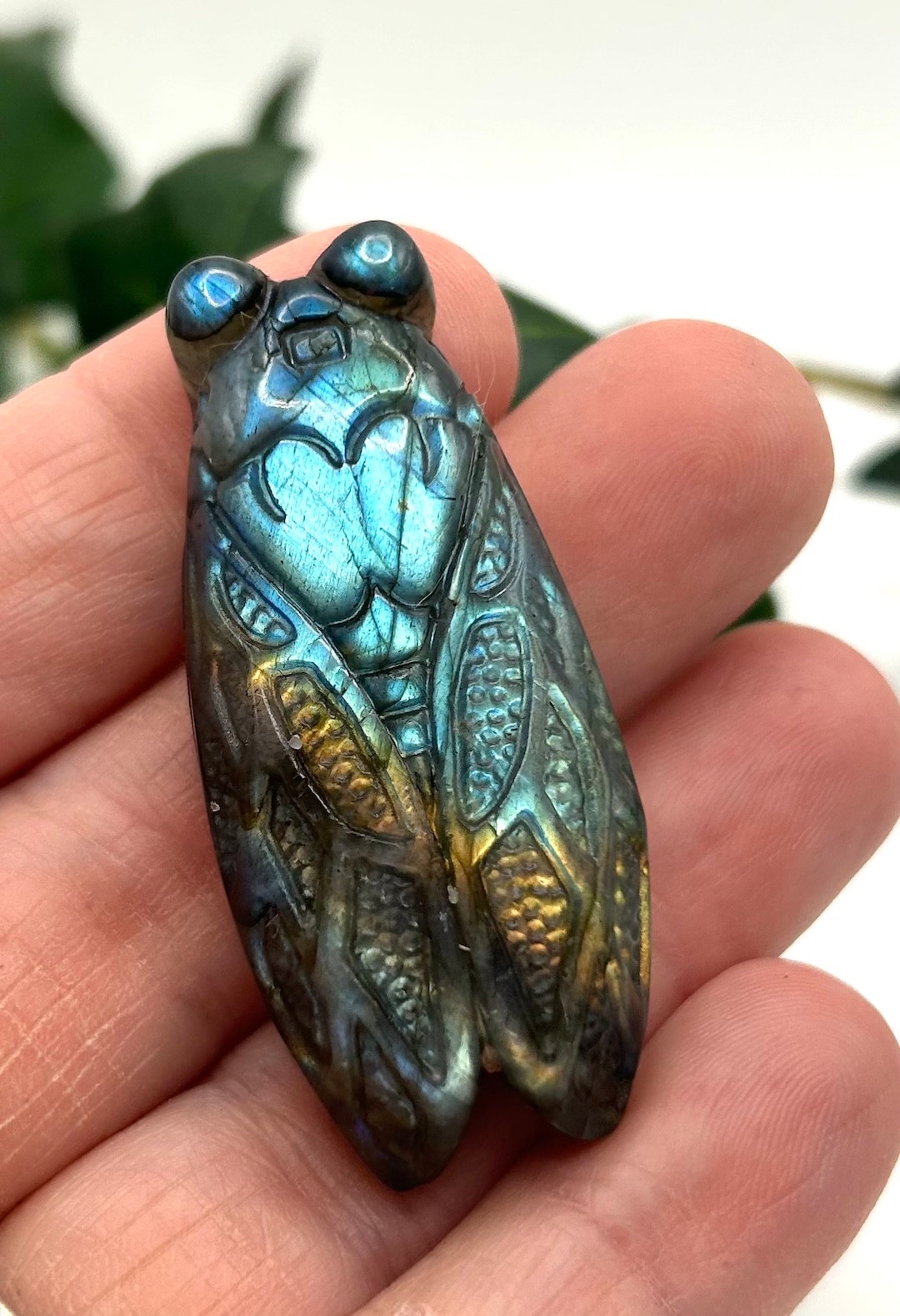 Stunning Rainbow Full Double Flash Labradorite Cicada Bug Carving - Etsy