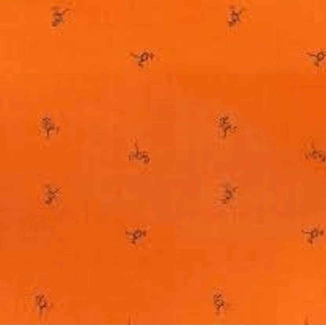Bird Bones - Orange - Scaredy Cat Collection - Riley Blake Fabrics 100% ...