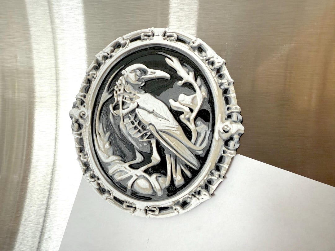 Gothic Victorian Skeleton Raven / Bird in Ornate Frame Ornament Kitchen ...