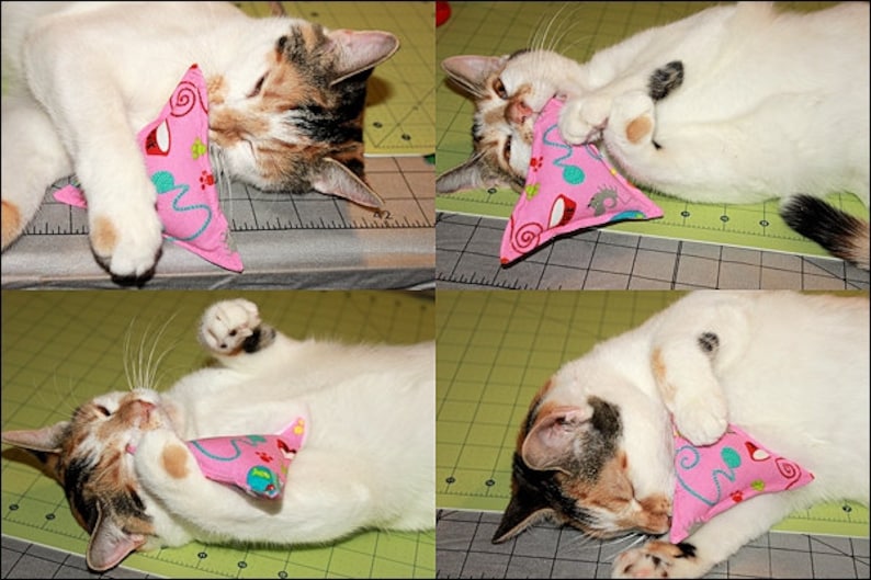 Cat Toy Sewing Pattern & Tutorial: Easy DIY Catnip Toys for Handmade ...