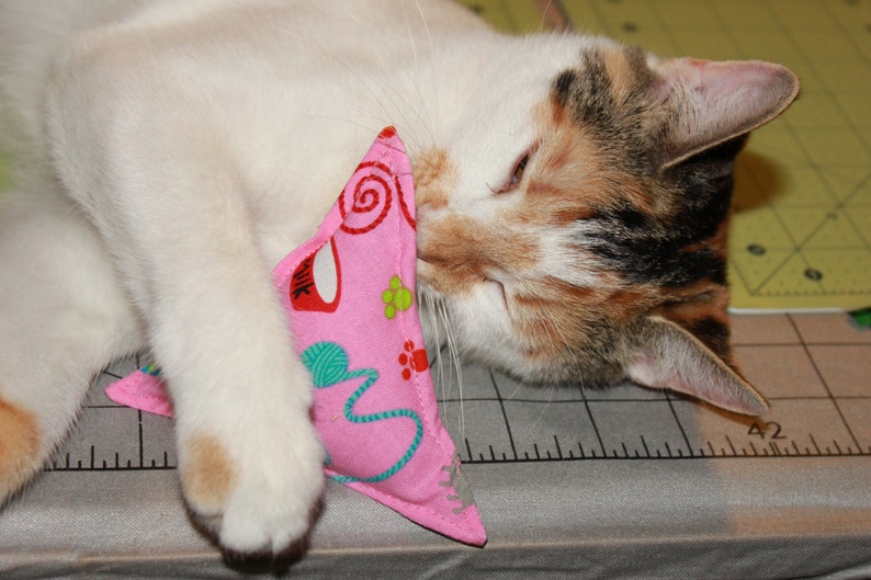 Cat Toy Sewing Pattern & Tutorial: Easy DIY Catnip Toys for Handmade ...