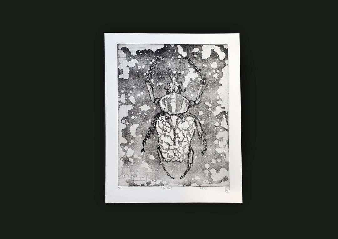 Beetle Intaglio Print Limited Edition , Etching - Etsy