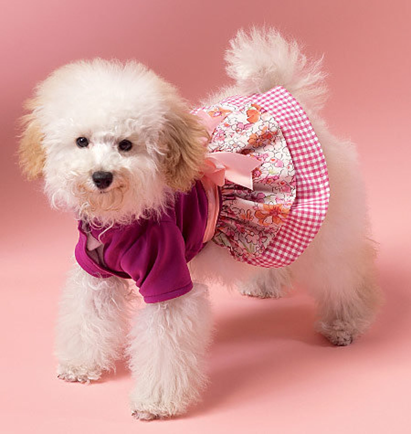 Kwik Sew 4152 Dog Clothes Sewing Pattern Pet Clothes Sewing | Etsy