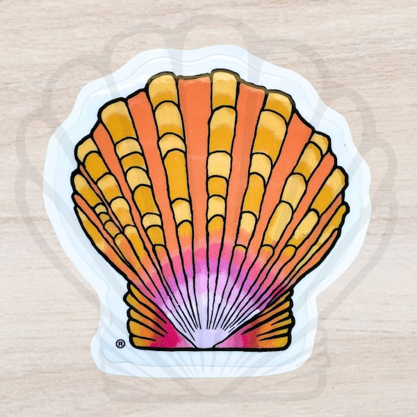 Sunrise Shell - Etsy