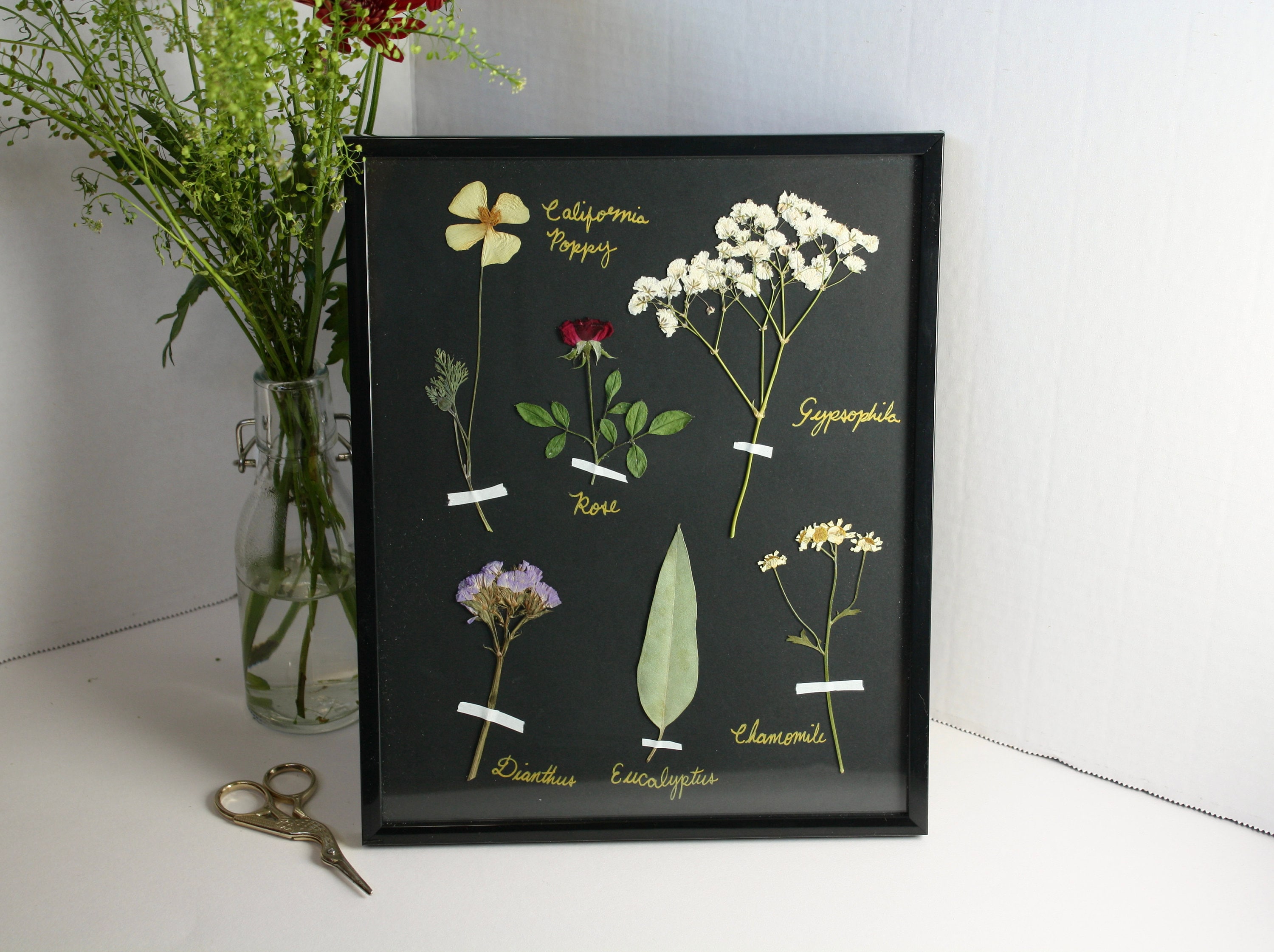 Pressed Flower Frame Herbarium Home Decor - Etsy