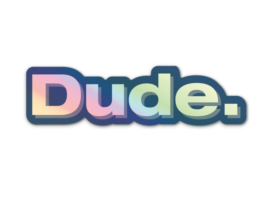 STICKER Dude Hologram Sticker Waterproof Die-cut Sticker Funny Snarky ...