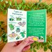 Pollinators Zine | Bugs Mini Zine, Nature Zine, Science Educational ...