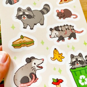 Trash Animal Stickers | Cute Possum, Raccoon, Rat Vinyl Sticker Sheet ...