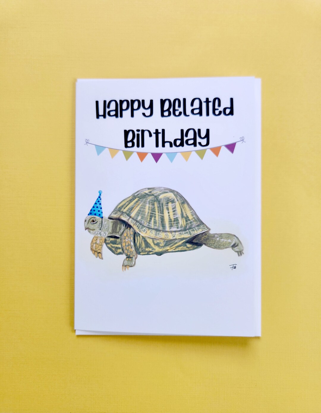 Turtle, Eastern Box Turtle, Belated Happy Birthday Card, Hand Drawn ...