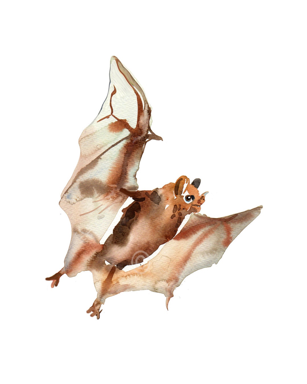 Bat,watercolor Painting, Animal Painting, Watercolor, Nursery Art Print ...