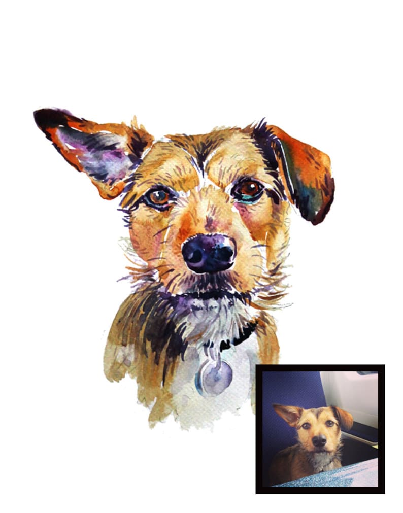 Pet Portrait Custom Pet Portrait Custom Portraits Original | Etsy