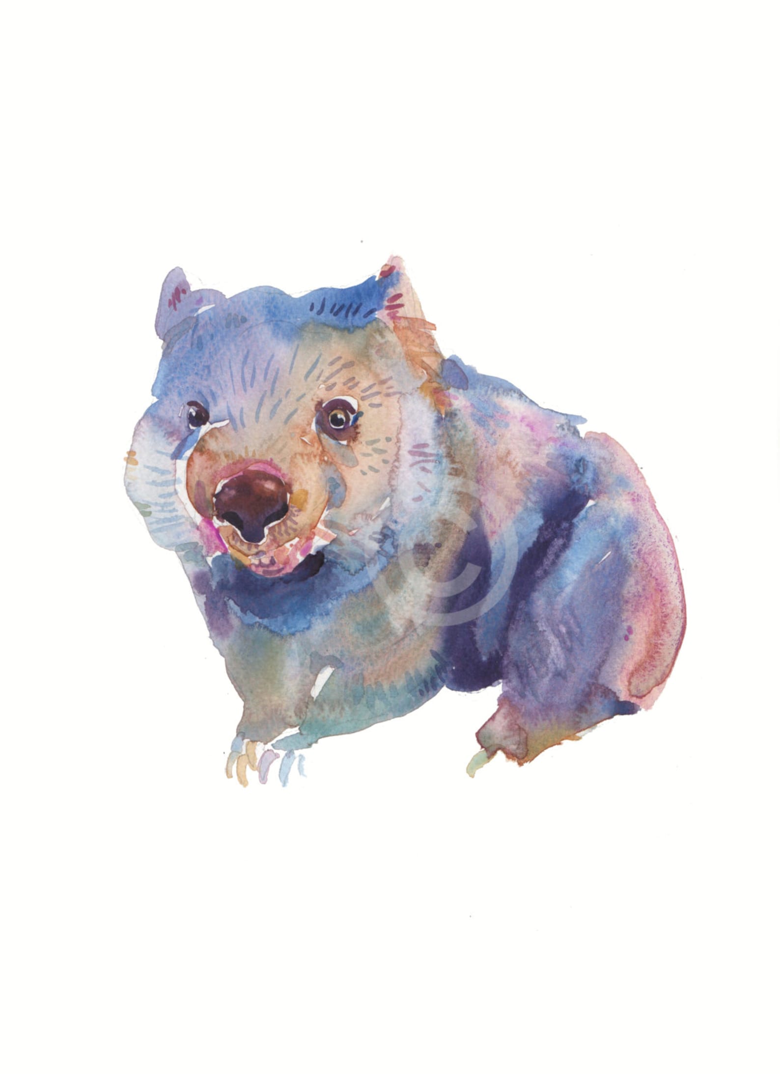 Wombat Size 8x10in Watercolor Painting Art Print - Etsy