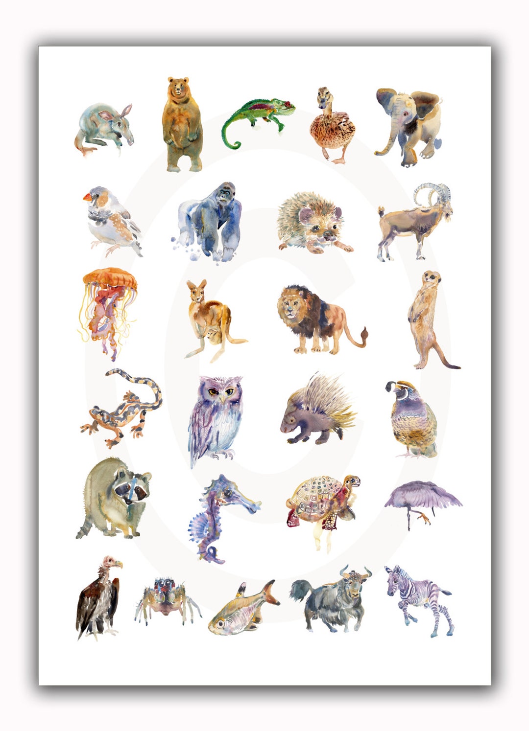 Childrens Art - Animal Painting - A-Z Animal Poster - Watercolor ...