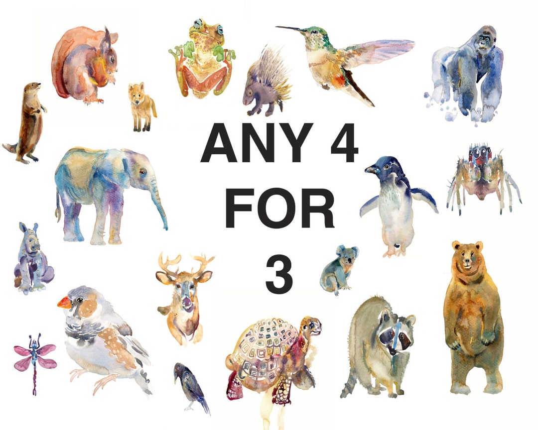 Nursery Animal Print Set,watercolor Paintings, Watercolor Animals, Kids ...
