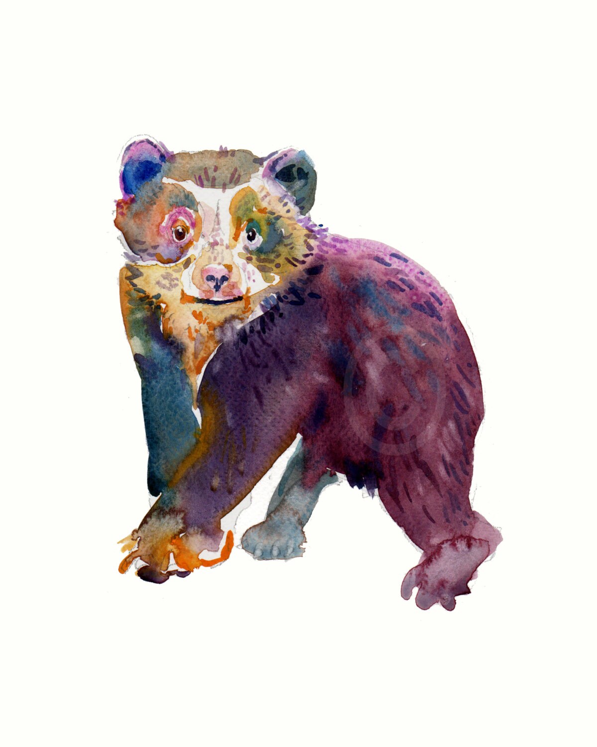 Spectacled Bear Watercolor Print – Nursery Animal Art (8x10 In) - Etsy