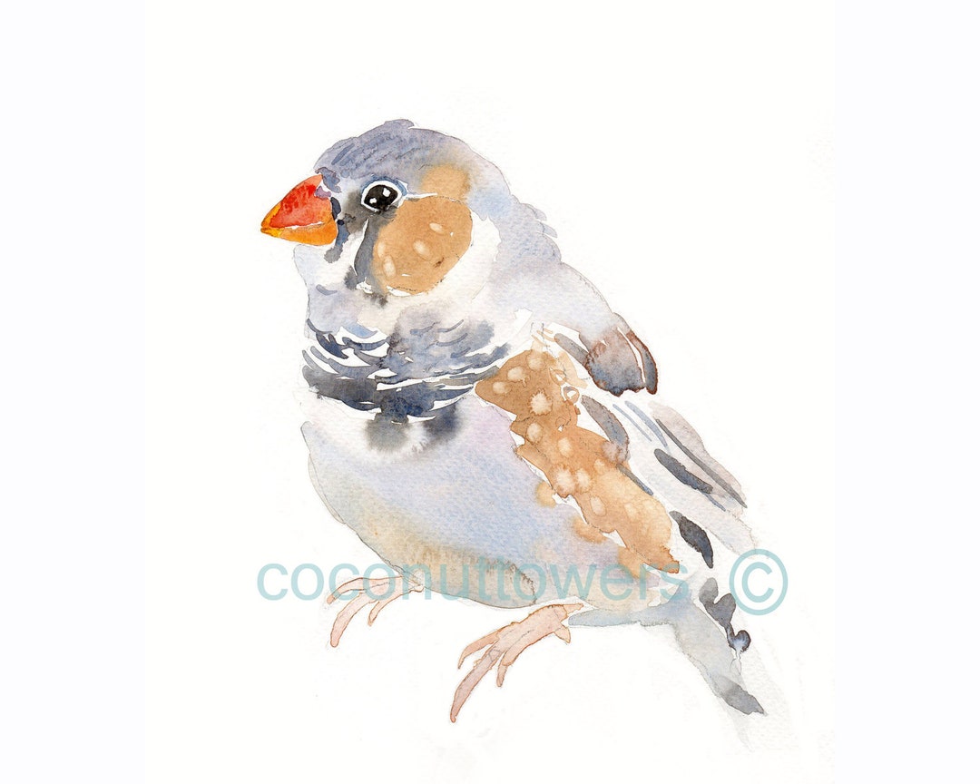 Bird Art - Finch - Size 8x 10in - Watercolor Painting - Art Print - Etsy UK