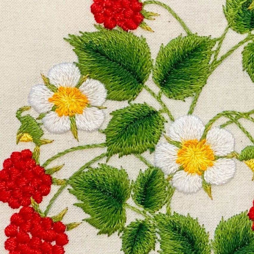 Embroidery Kit Raspberry Hand Embroidery Full Kit for Beginners and ...