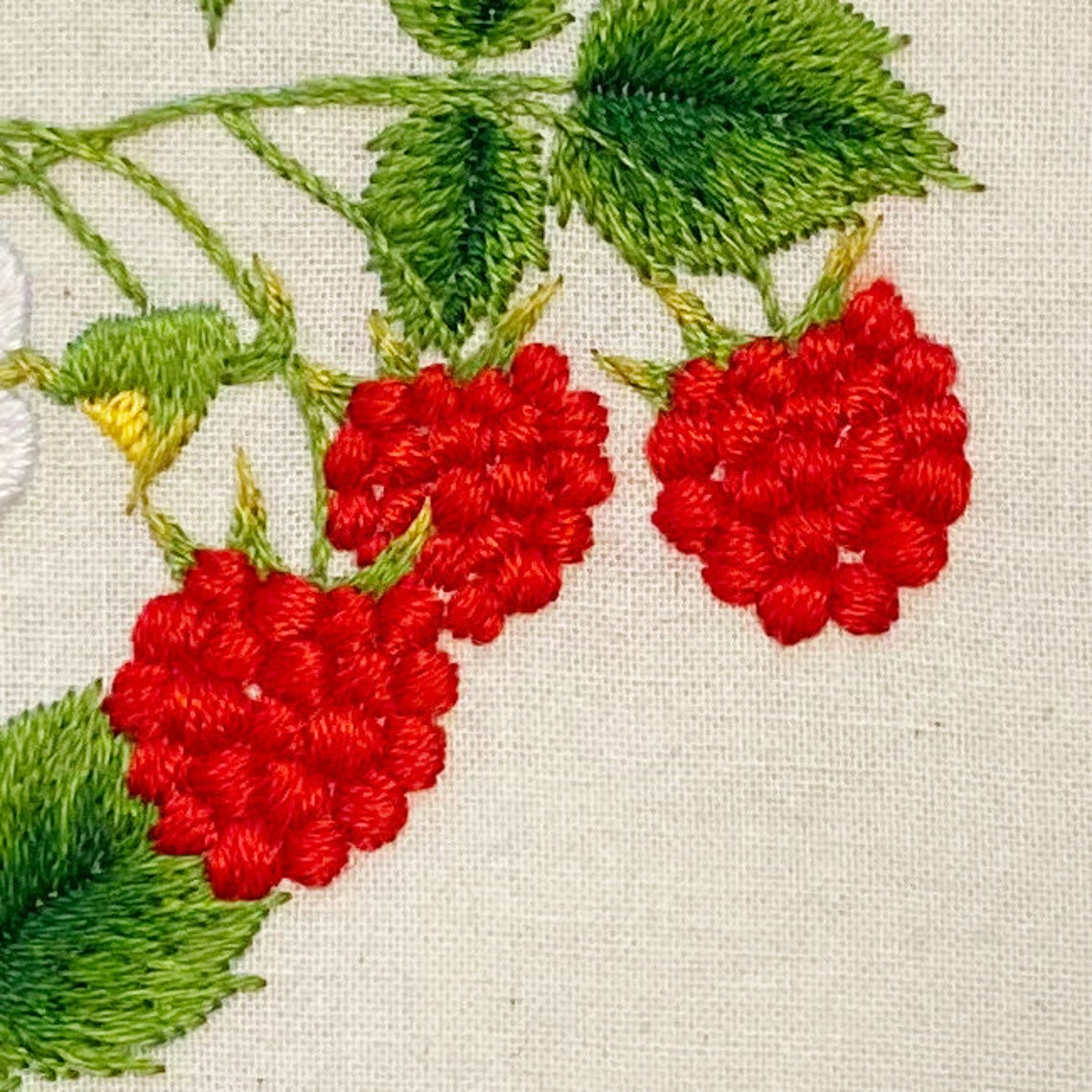 Instant Download Embroidery PDF Raspberry Hand Embroidery - Etsy