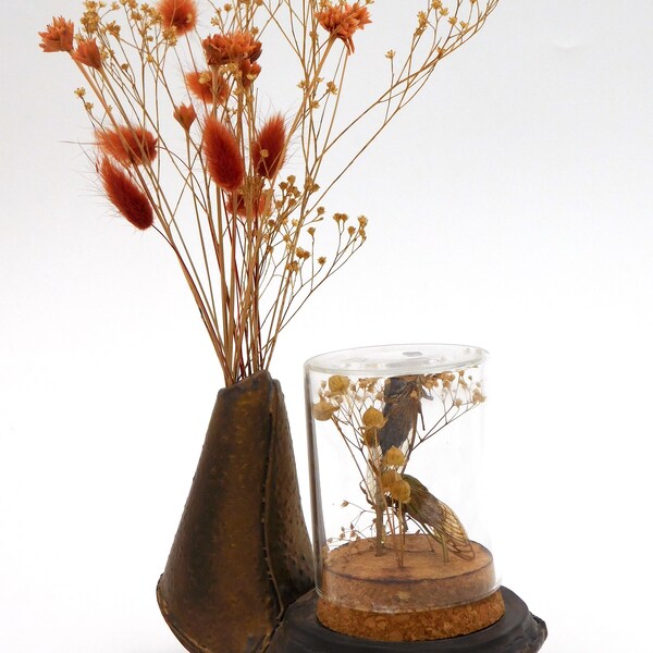 Bug Vase - Etsy