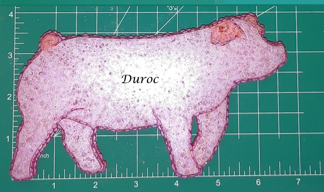 Duroc Show Pig Silicone Freshie Mold - Etsy