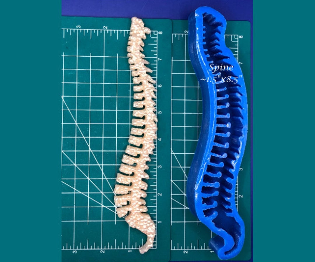 Spine Silicone Freshie Mold - Silicone Mold - Freshie Mold - Resin Mold ...