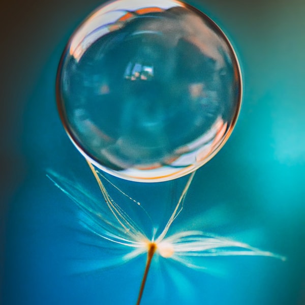 Bubble Photography - Etsy