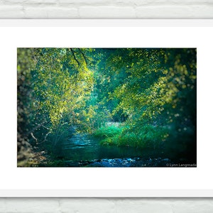 Nature Prints - River Trees 8x10 Landscape Photo 11x14 16x20 Green ...
