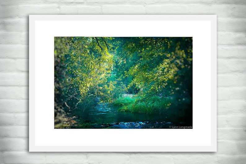 Nature Prints - River Trees 8x10 Landscape Photo 11x14 16x20 Green ...