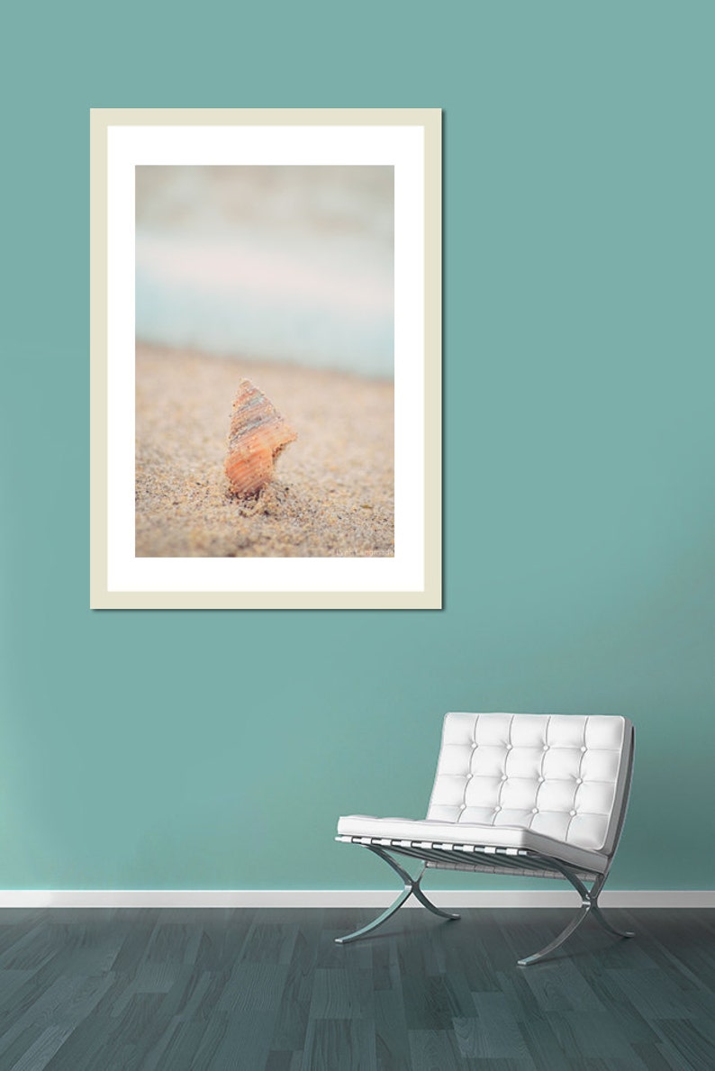 Beach Photography seashell photograph beige seashell | Etsy