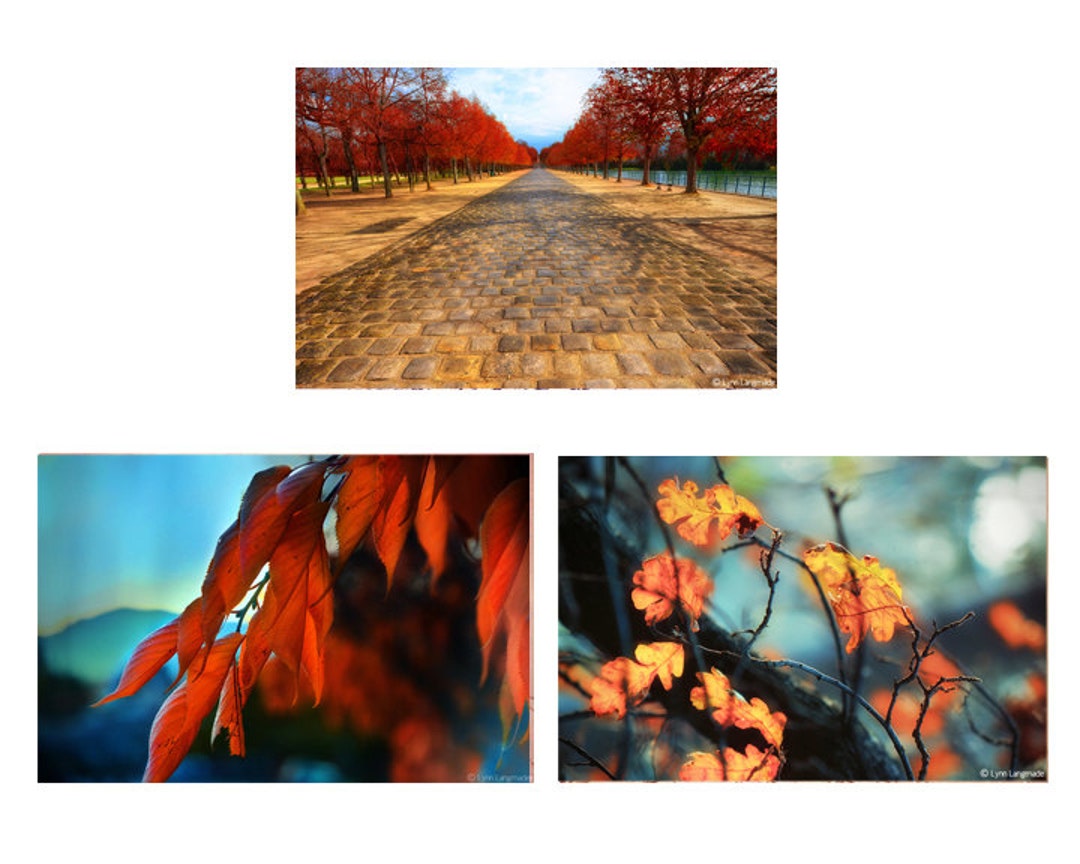 Autumn Photo Set - Set of 3 Photographs, Orange Photo Set, Autumn ...