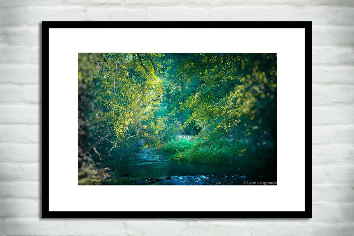 Nature Prints - River Trees 8x10 Landscape Photo 11x14 16x20 Green ...