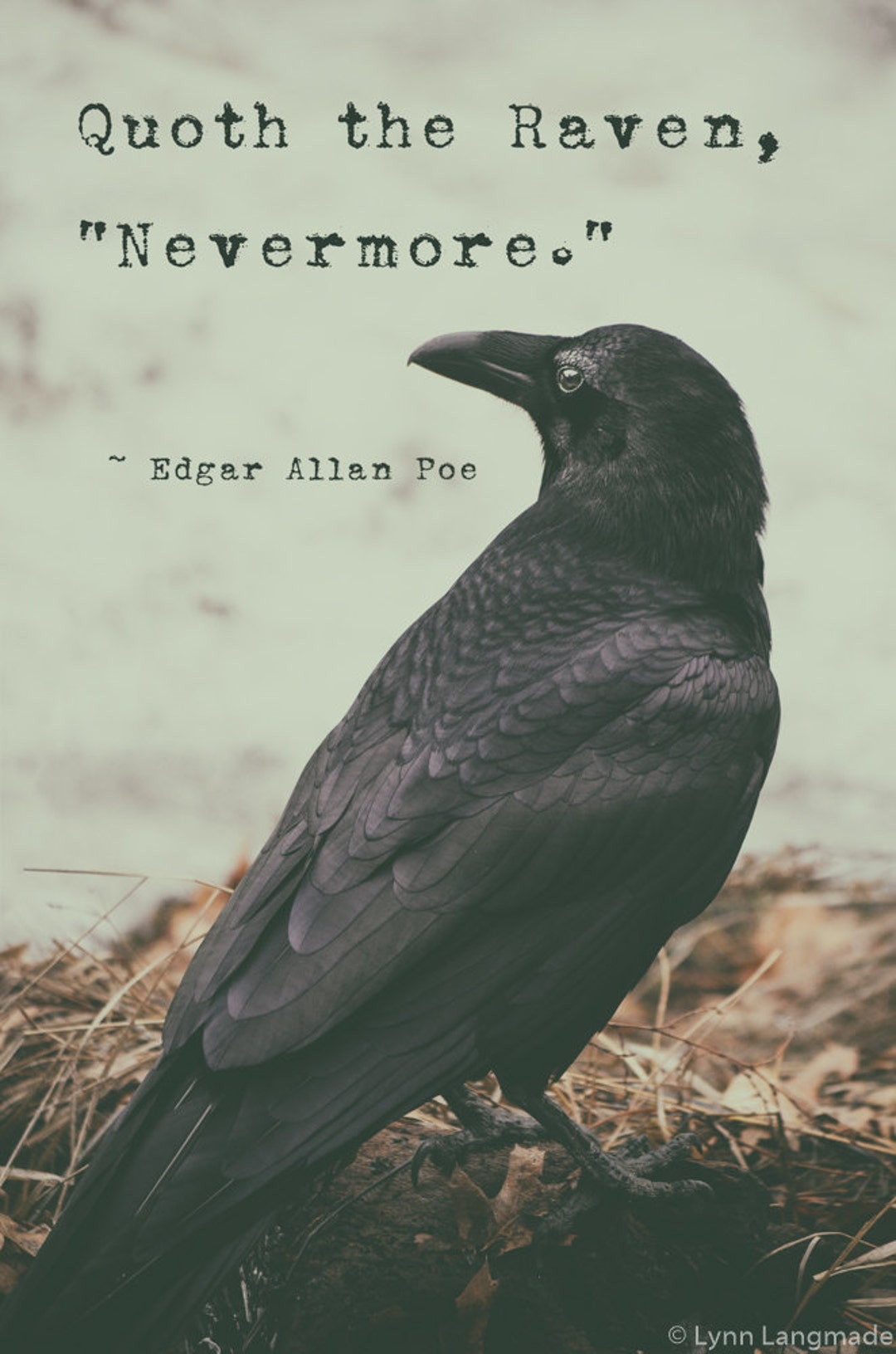 Typography Prints - Raven Quote Print Poe Poem Raven Art Black Bird ...