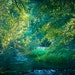 Nature Prints - River Trees 8x10 Landscape Photo 11x14 16x20 Green ...