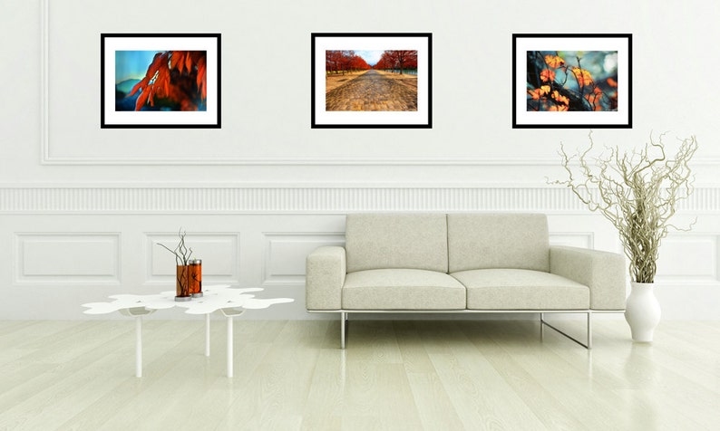 Autumn Photo Set Set of 3 Photographs Orange Photo Set - Etsy