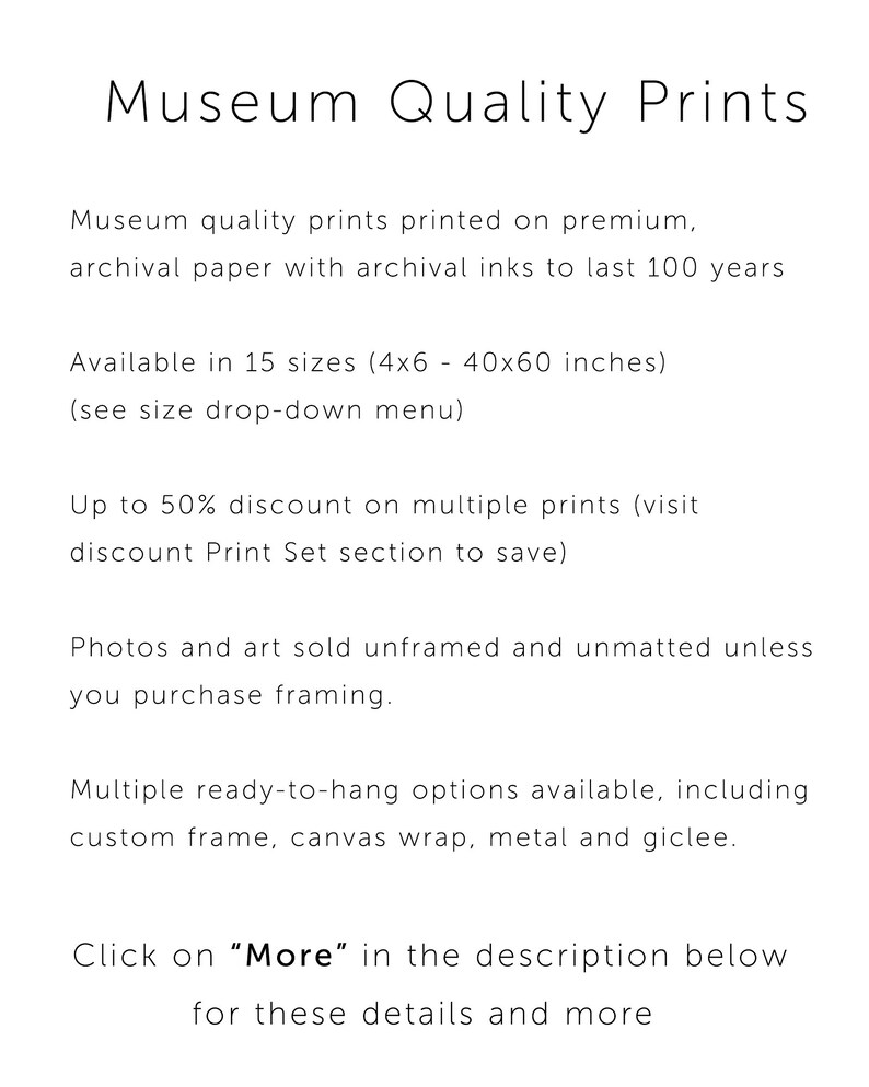 Underwater Photography White Moon Jellyfish Photo 8x10 - Etsy