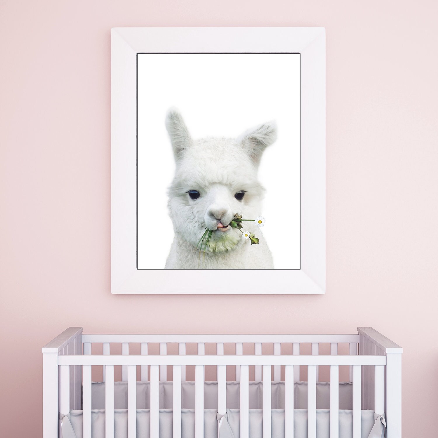 Llama Print Alpaca Print Nursery Print Alpaca Gifts | Etsy